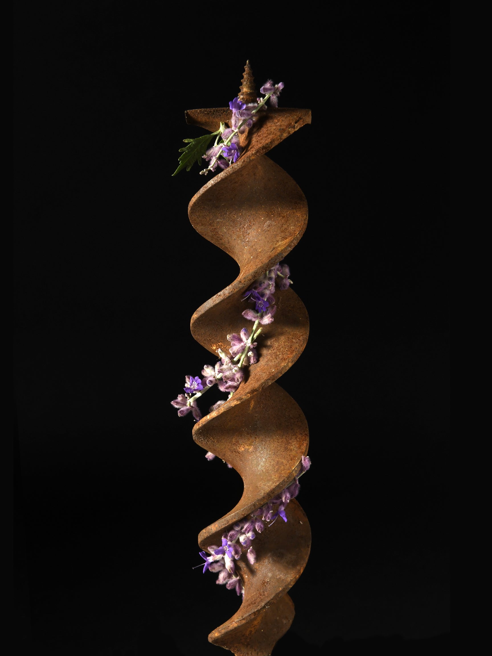 Drill – Allan Teger