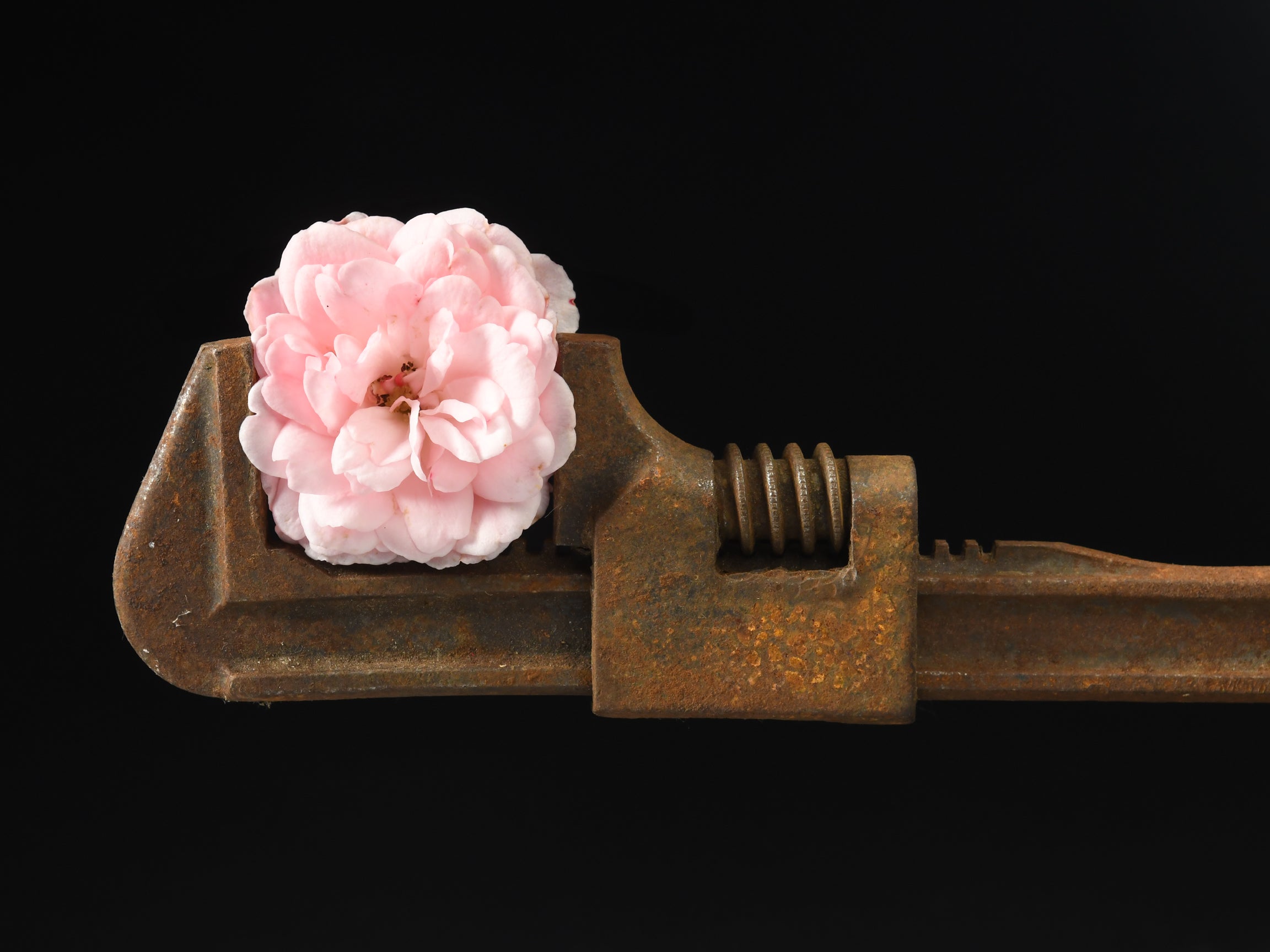 Rusty Wrench – Allan Teger