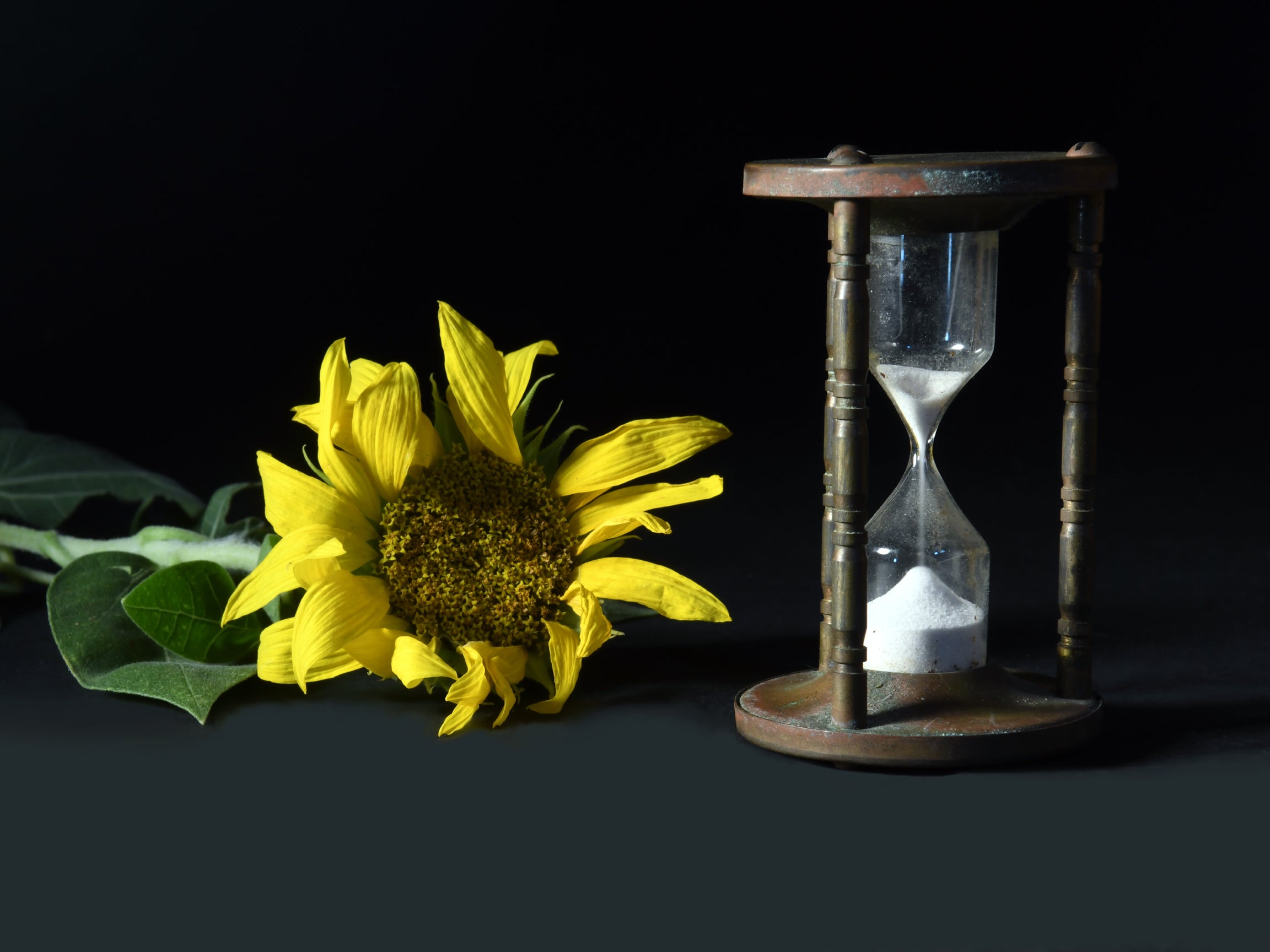 Time – Allan Teger