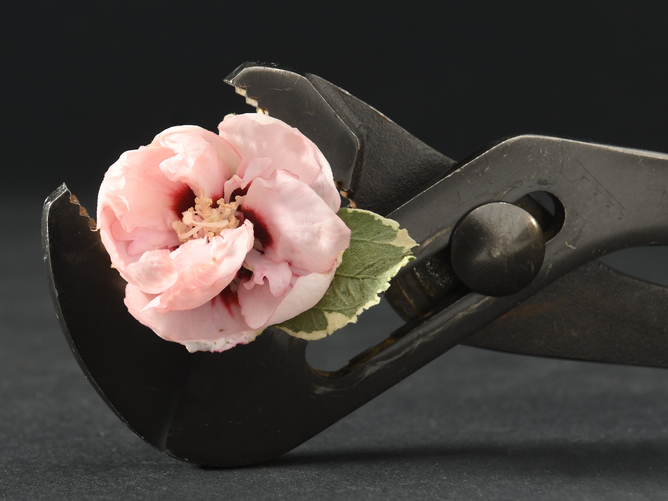 Vise Grip – Allan Teger